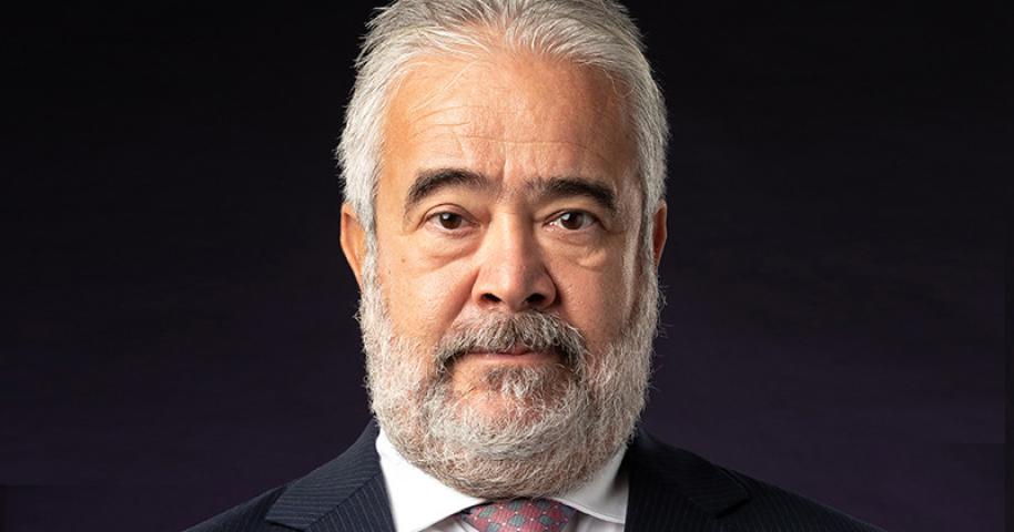 Horia Manda, Membru neexecutiv - independent al Consiliului de ...